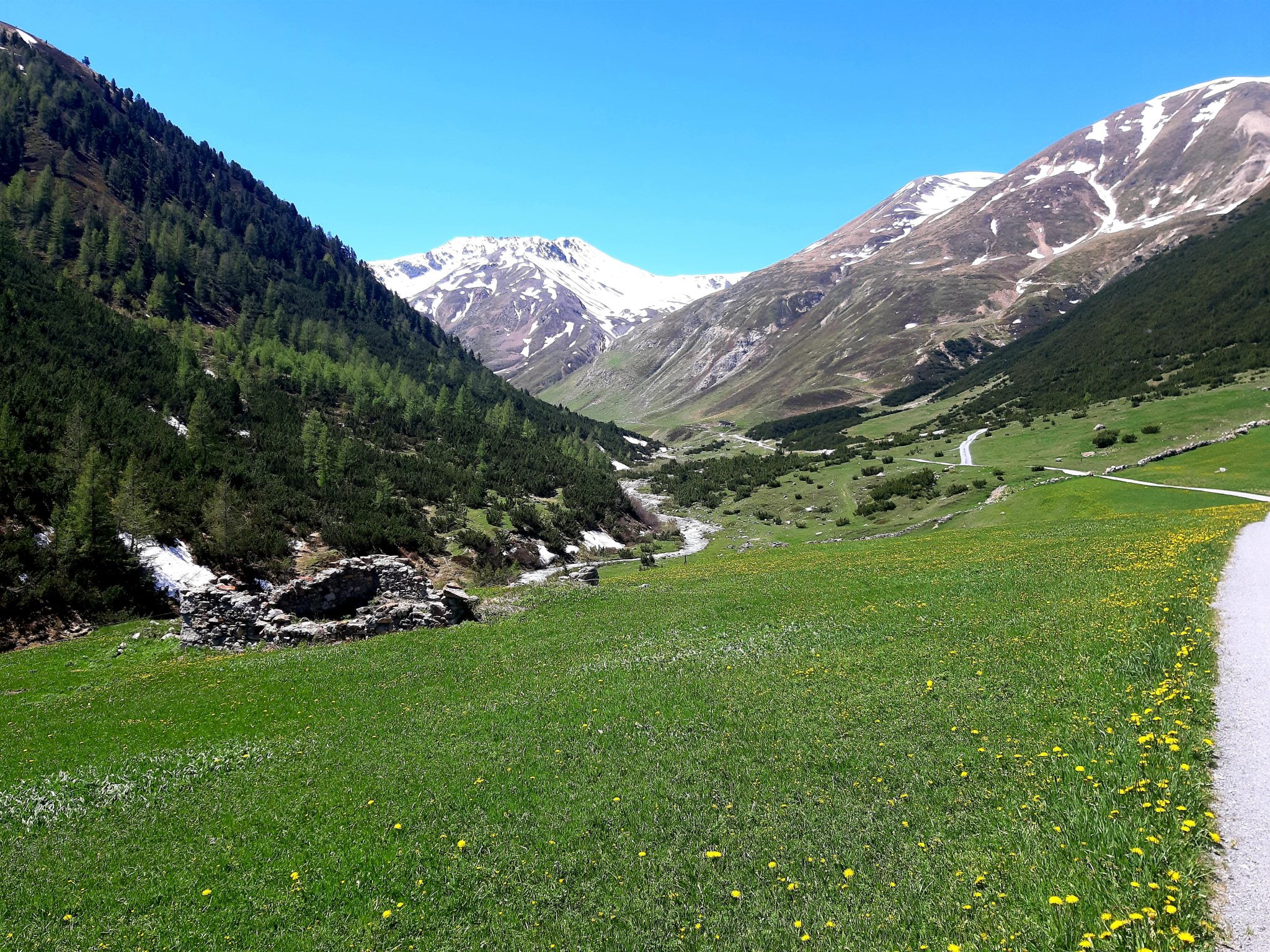 Cosa fare a Livigno in estate: non solo trekking! - Itinerario a Colori